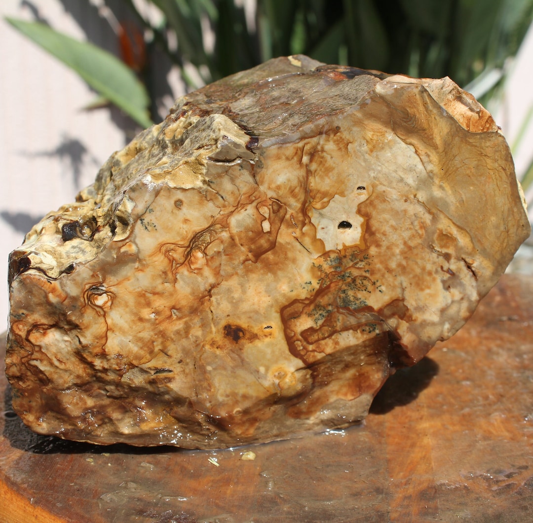 7.7# BIGGS JASPER ROUGH Rock * Lapidary, Slabs, Cabs, Faced Stone ...