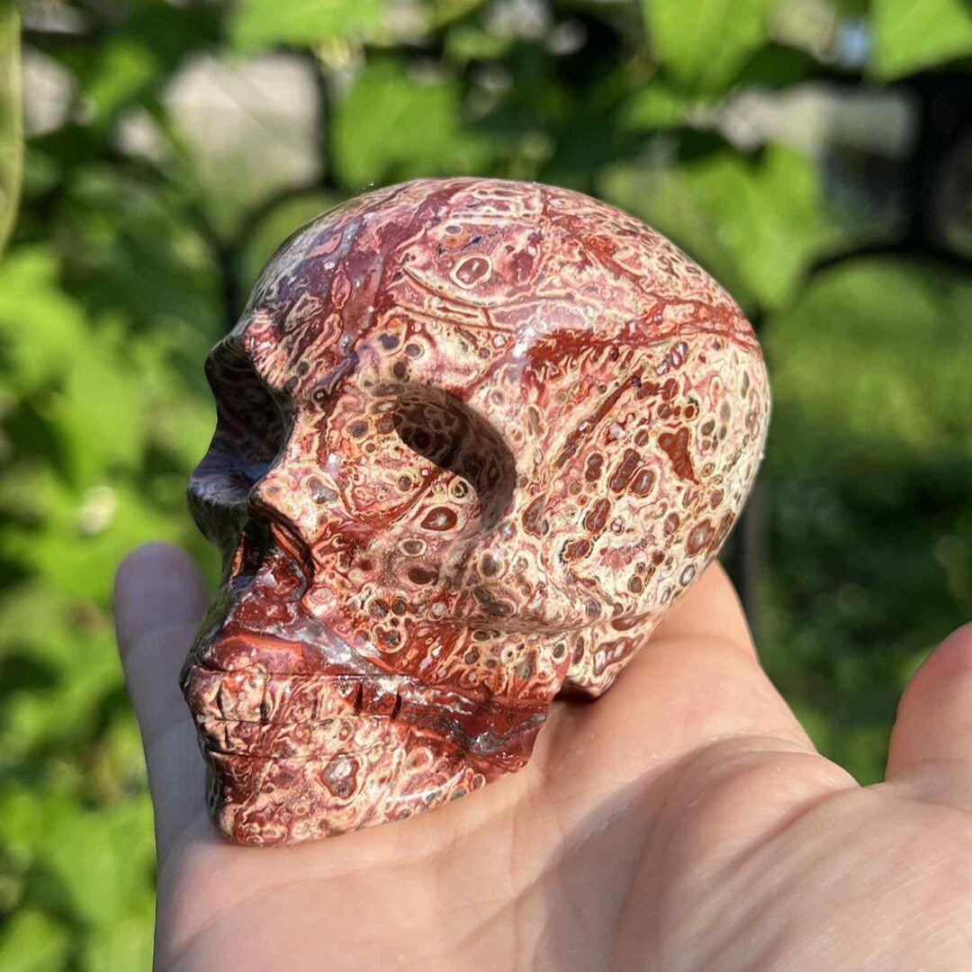 LEOPARD SKIN SKULL * Colorful Mexican Jasper #3 Orbicular, Orbs, Rock ...