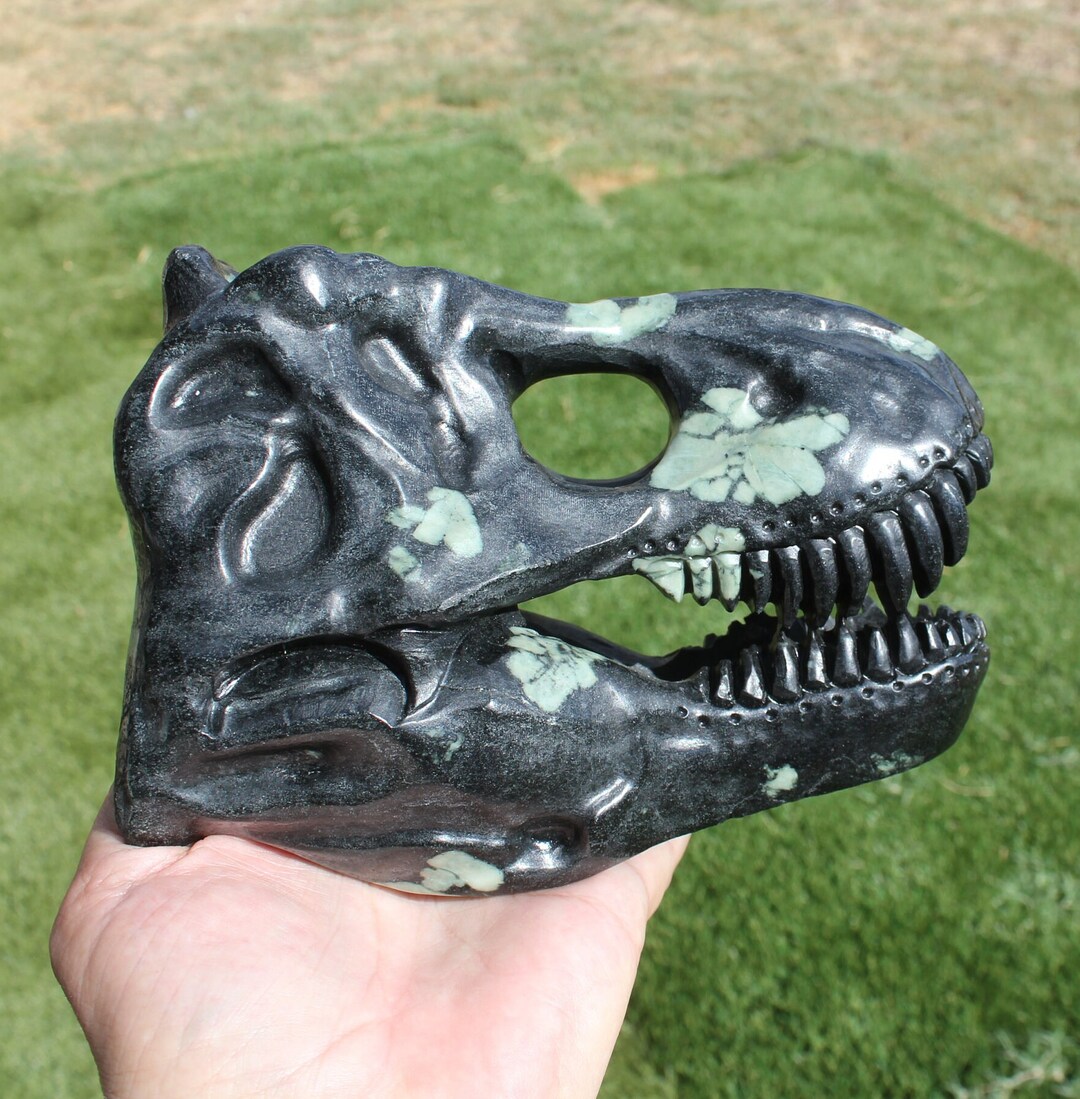 4.6# CARVED DINOSAUR SKULL * T-rex * Script Writing Stone W ...