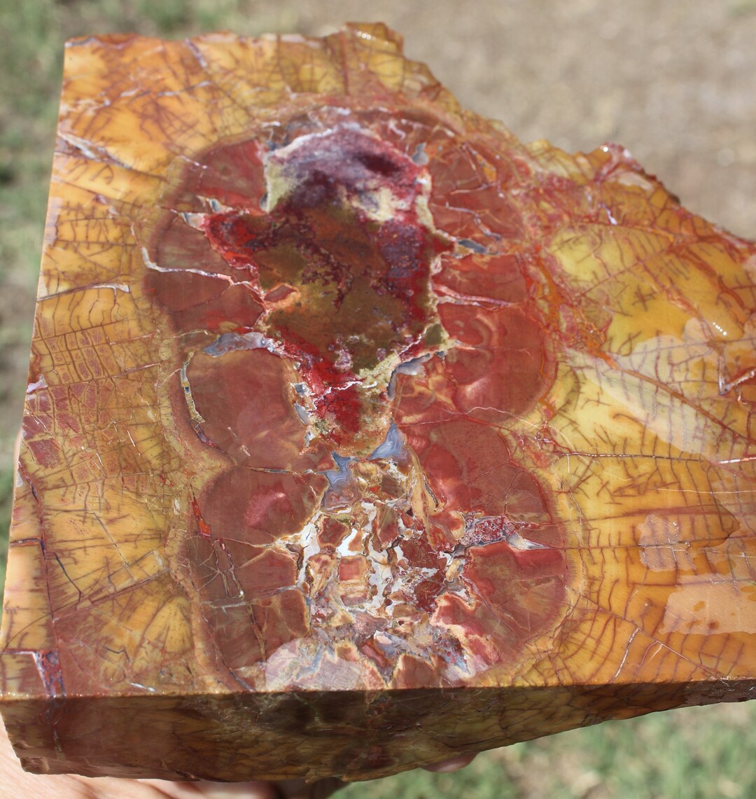 5# SPIDERMAN JASPER ROUGH 3-piece Rock Lot * Rare Red Brecciated Stone ...