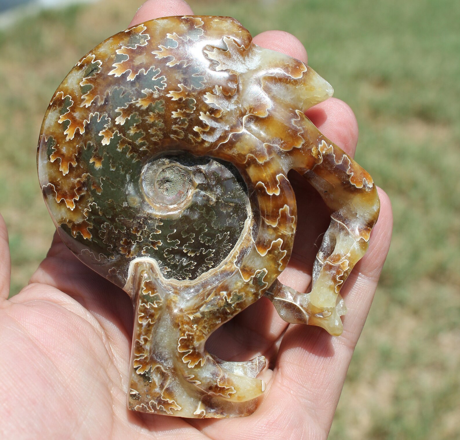 4 Inch CARVED AMMONITE w/ TENTACLES Display Collector Piece | Etsy