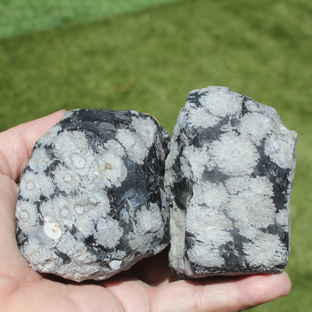 2-piece Orbicular SNOWFLAKE OBSIDIAN ROUGH Rock * Black + White W/ Orbs ...