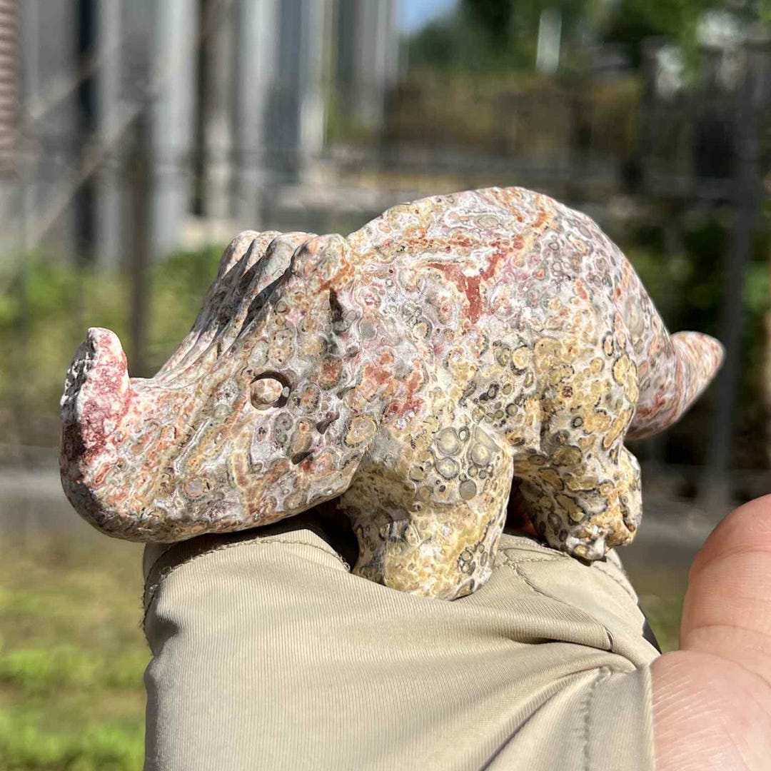 LEOPARD SKIN JASPER Triceratops Dinosaur Primitive Carving - Etsy