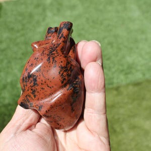 Mahogany OBSIDIAN HUMAN HEART * Carved Anatomical Display, Fully ...