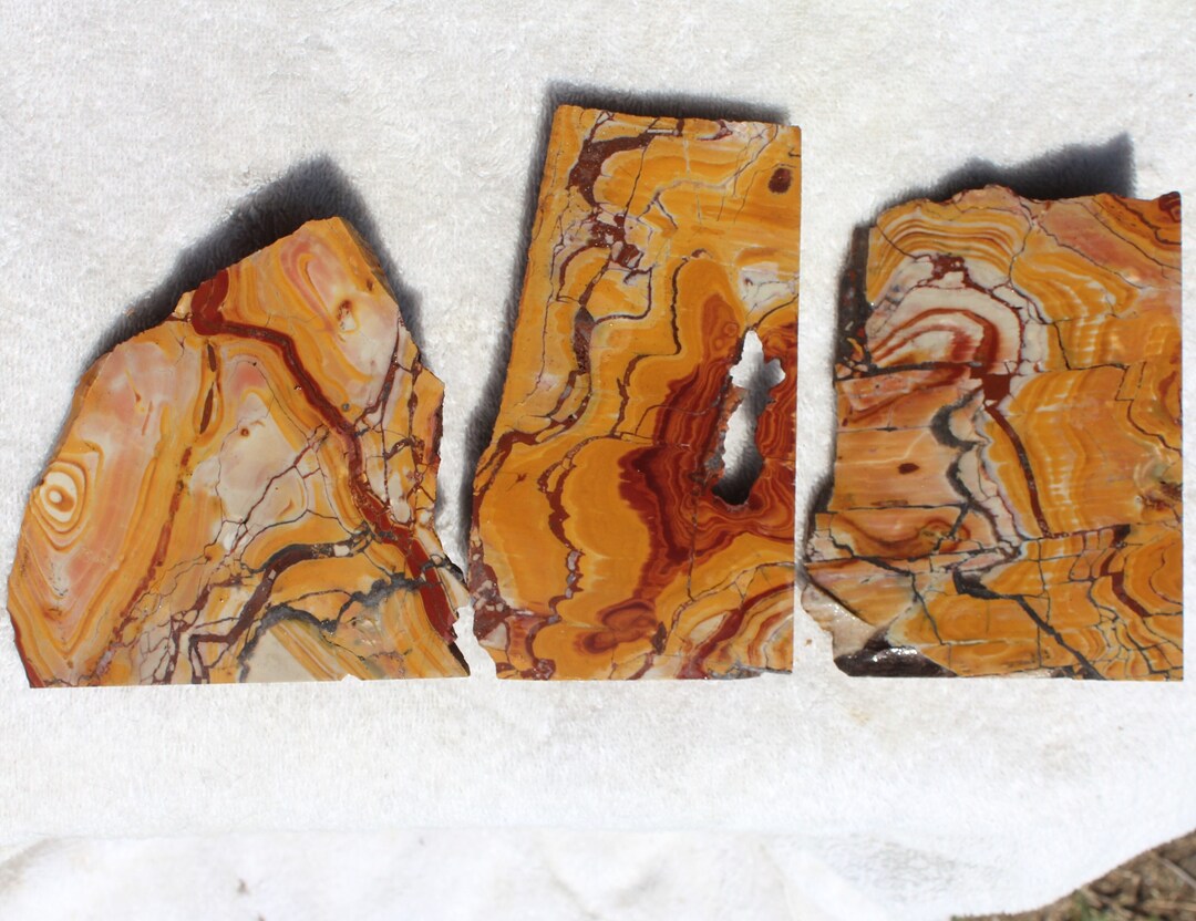 2.4# BIRDSEYE JASPER ROUGH 3-piece Rock Lot * Orbicular Swirling Stone ...
