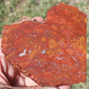 Lavic Siding Jasper Rock Lot: Red, Yellow, Quartz Stone - Raw Untreated ...