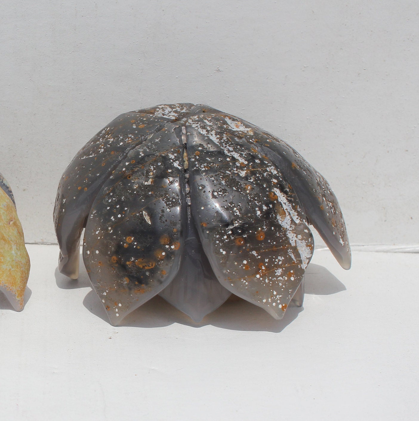 1.5 Pound AGATE LOTUS FLOWER Geode Display Figurine * Hand-carved Stone ...