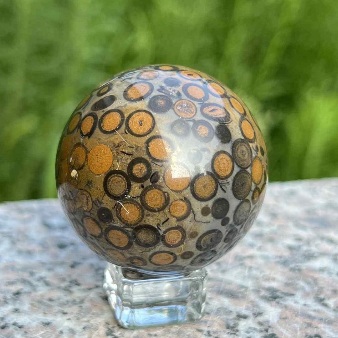 Small OOLITE FOSSIL SPHERE W/ Orbs #8 * Ancient Orbicular Rock, Stone ...