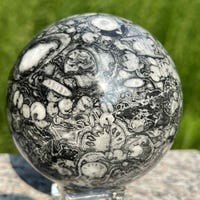 Crystal Ammonite Fossil Carving: Obsidian, Moss Agate, Pyrite, Quartz ...