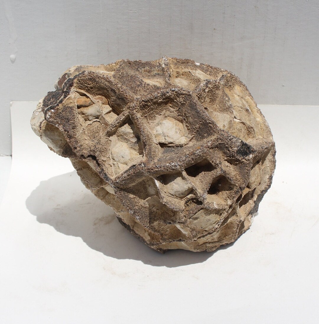 6# GNARLEY SEPTARIAN NODULE - Funky Rough Rock, Madagascar Stone, Whole ...