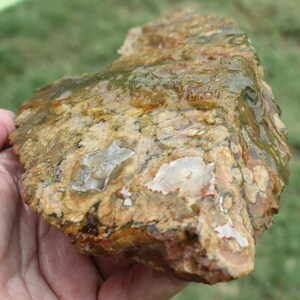 RAINFOREST JASPER ROUGH Rock * Stone Patterns + Flowers, Cabs, Slab ...