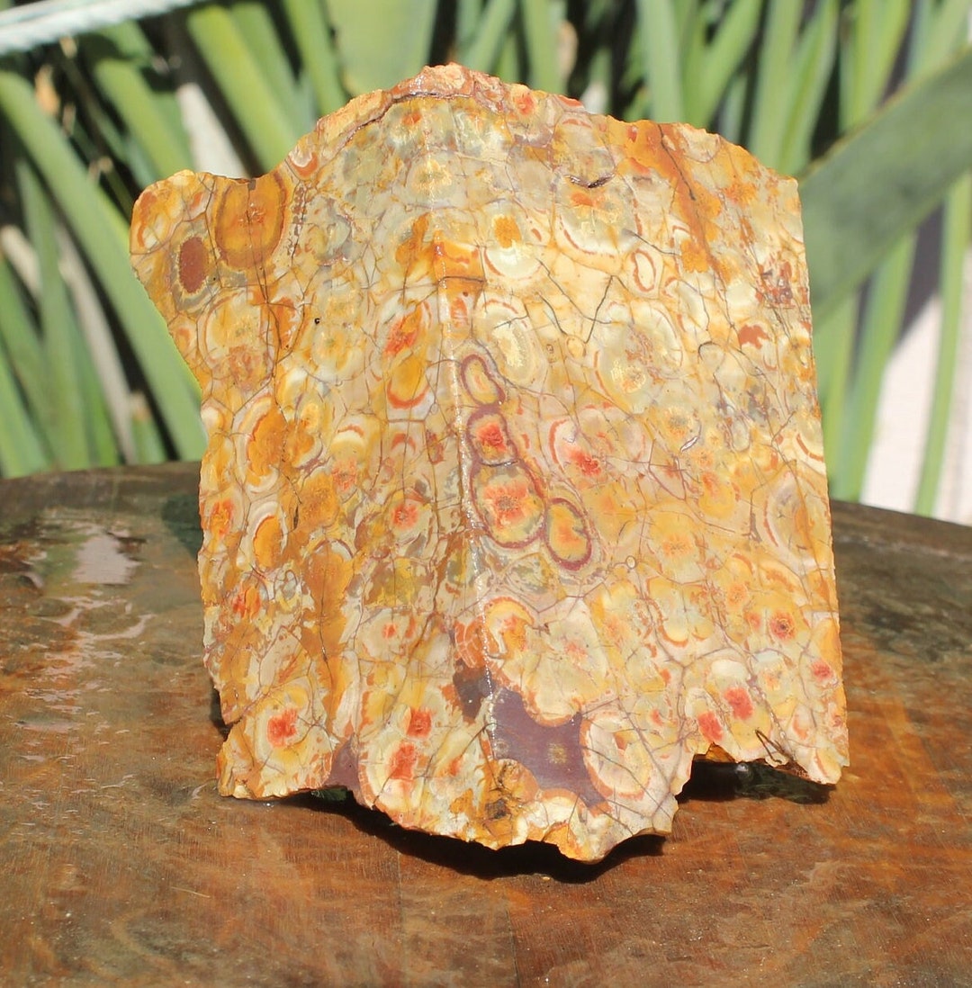 2.6# BIRDSEYE RHYOLITE ROUGH * Lapidary, Slabs, Cabs, Faced Stone ...