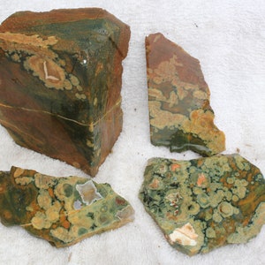 RAINFOREST JASPER ROUGH Rock * Stone Patterns + Flowers, Cabs, Slab ...