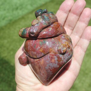 WAVE OCEAN JASPER Human Heart Figure * Carved Anatomical Rock, Stone ...