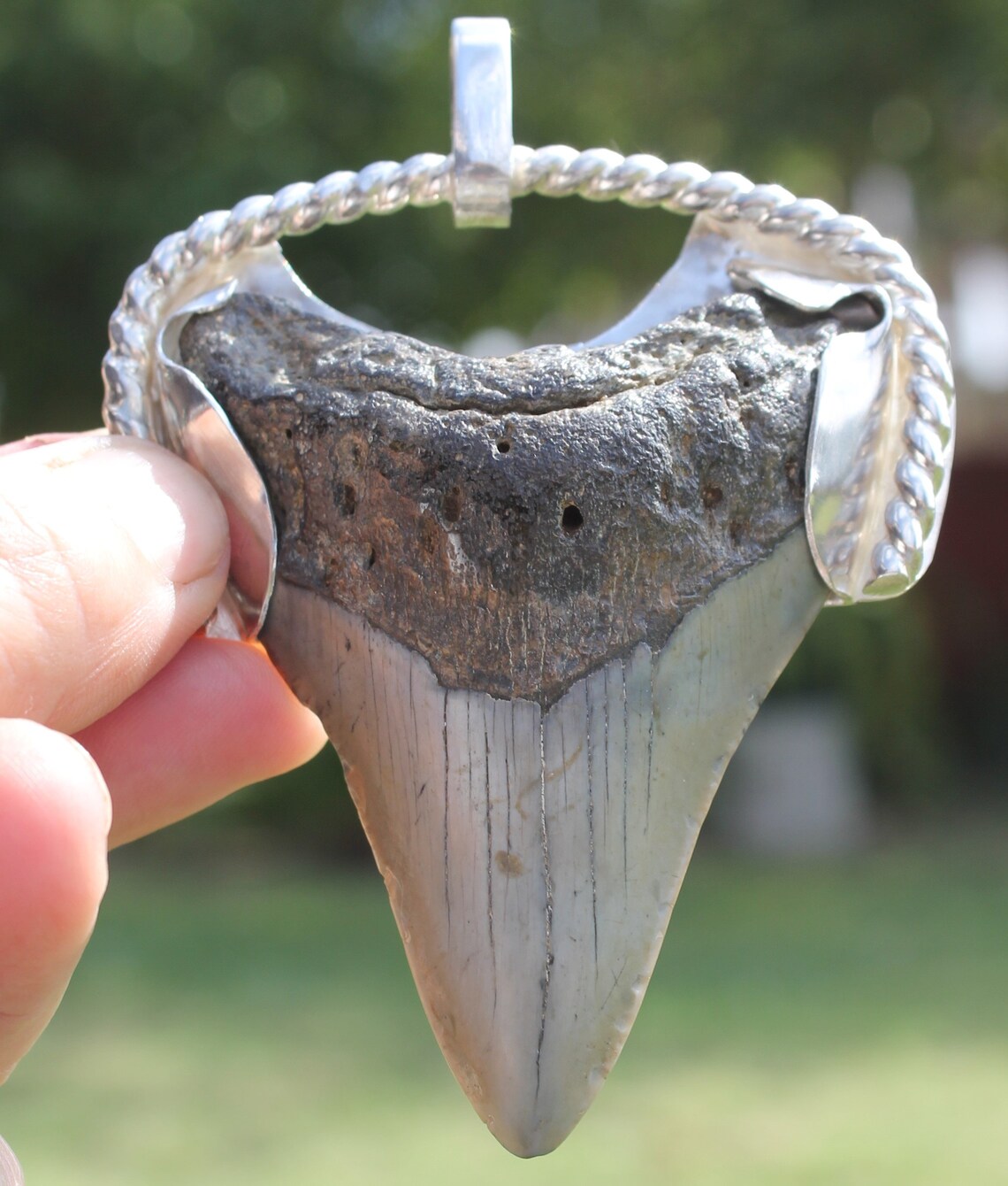 Big 3 MEGALODON TOOTH PENDANTS Rustic Jewelry W/ - Etsy