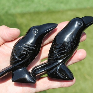 BLACK OBSIDIAN RAVEN Bird Figure Highly Polished Glossy Rock Stone Two ...