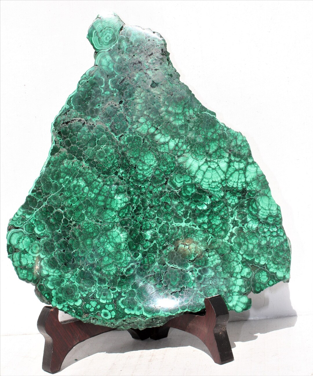 2.37# FLOWER MALACHITE SLAB * South Africa, Natural & Untreated Green ...