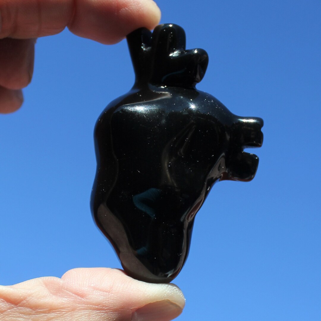 Rainbow OBSIDIAN Human HEART Rainbow Velvet Sheen Anatomical, Hand ...