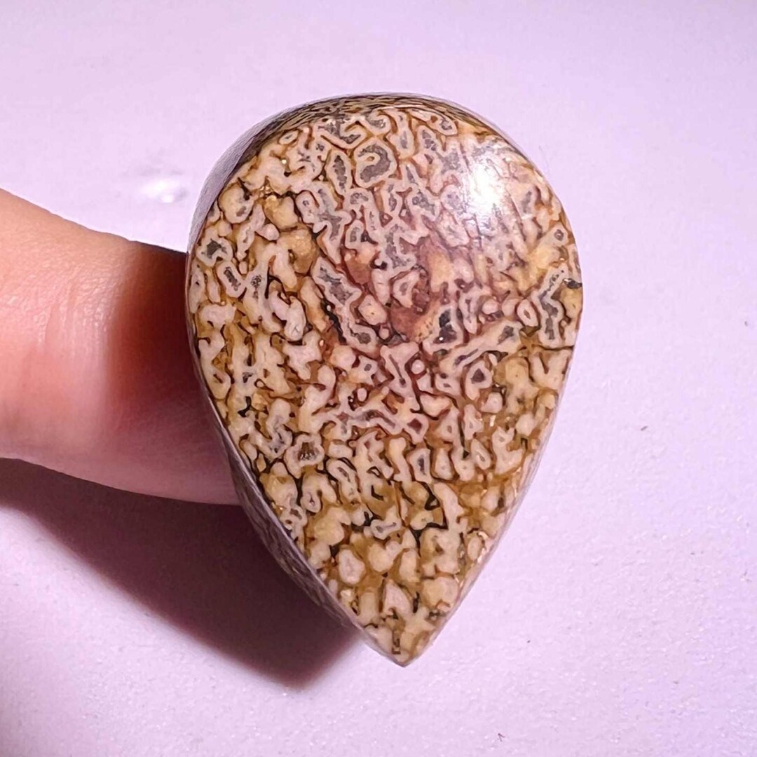 DINOSAUR BONE RING - Big Fossil Stone Rock #4 Carved Teardrop Shape ...