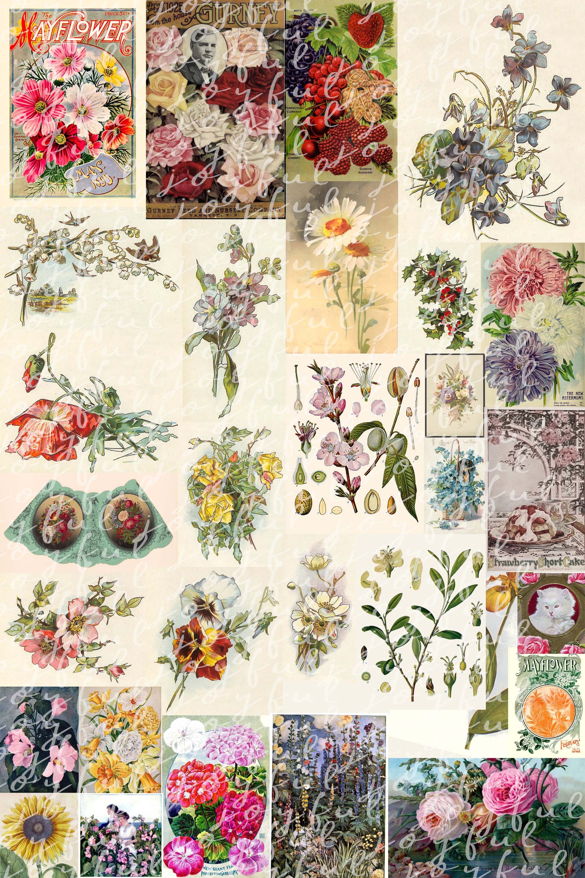 30 Copyright Free, Printable Vintage Flower Images for Your Art ...