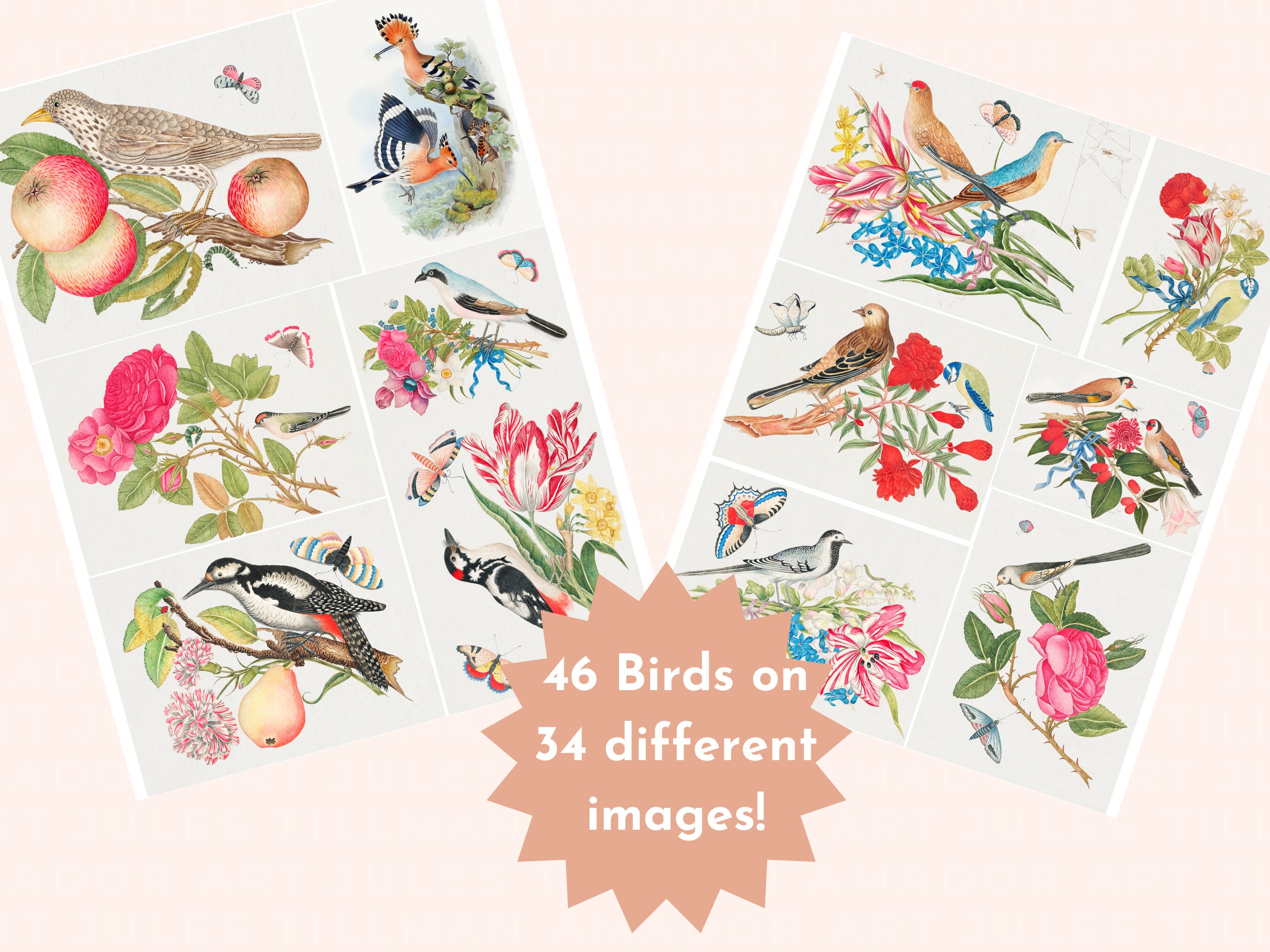 Bird Junk Journal Vintage Bird Ephemera. Printable Bird - Etsy