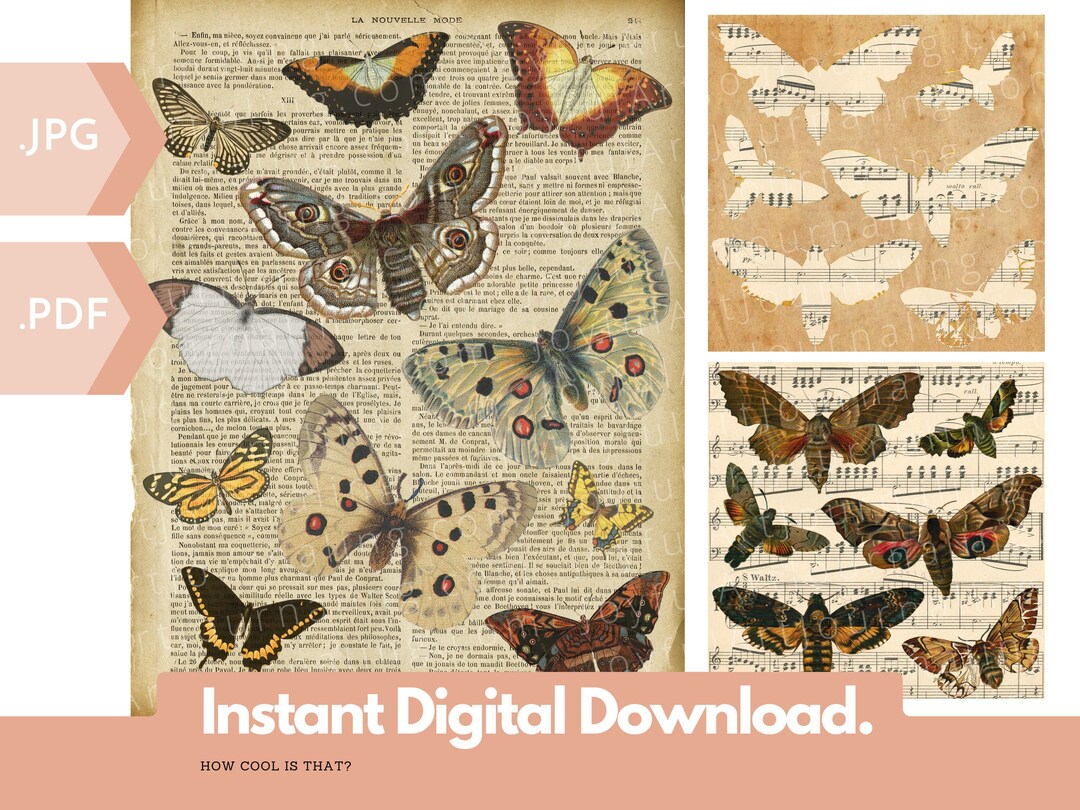 Printable Vintage Butterfly & Moth Illustrations for Your Art Journals ...