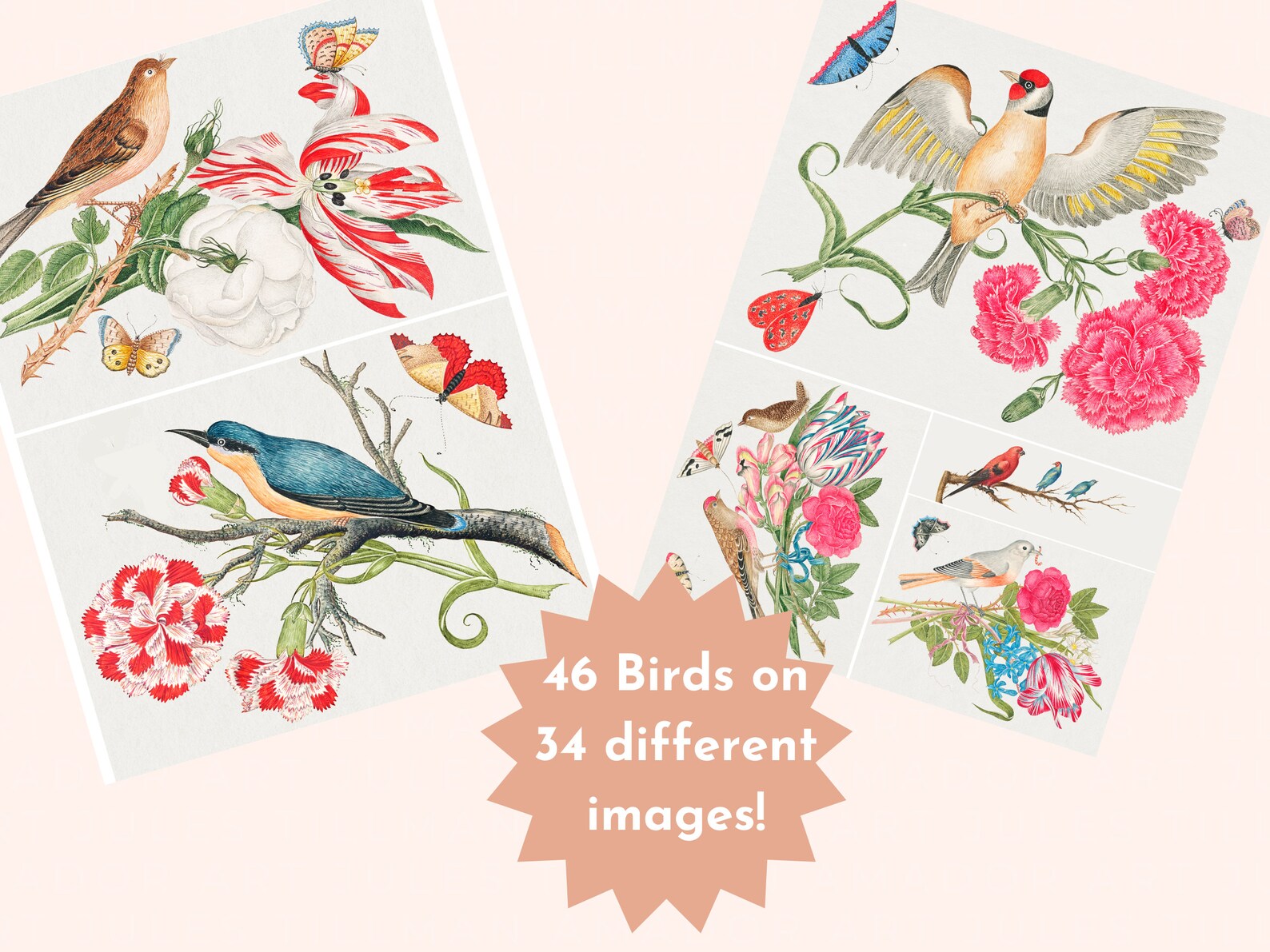 Bird Junk Journal Vintage Bird Ephemera. Printable Bird - Etsy