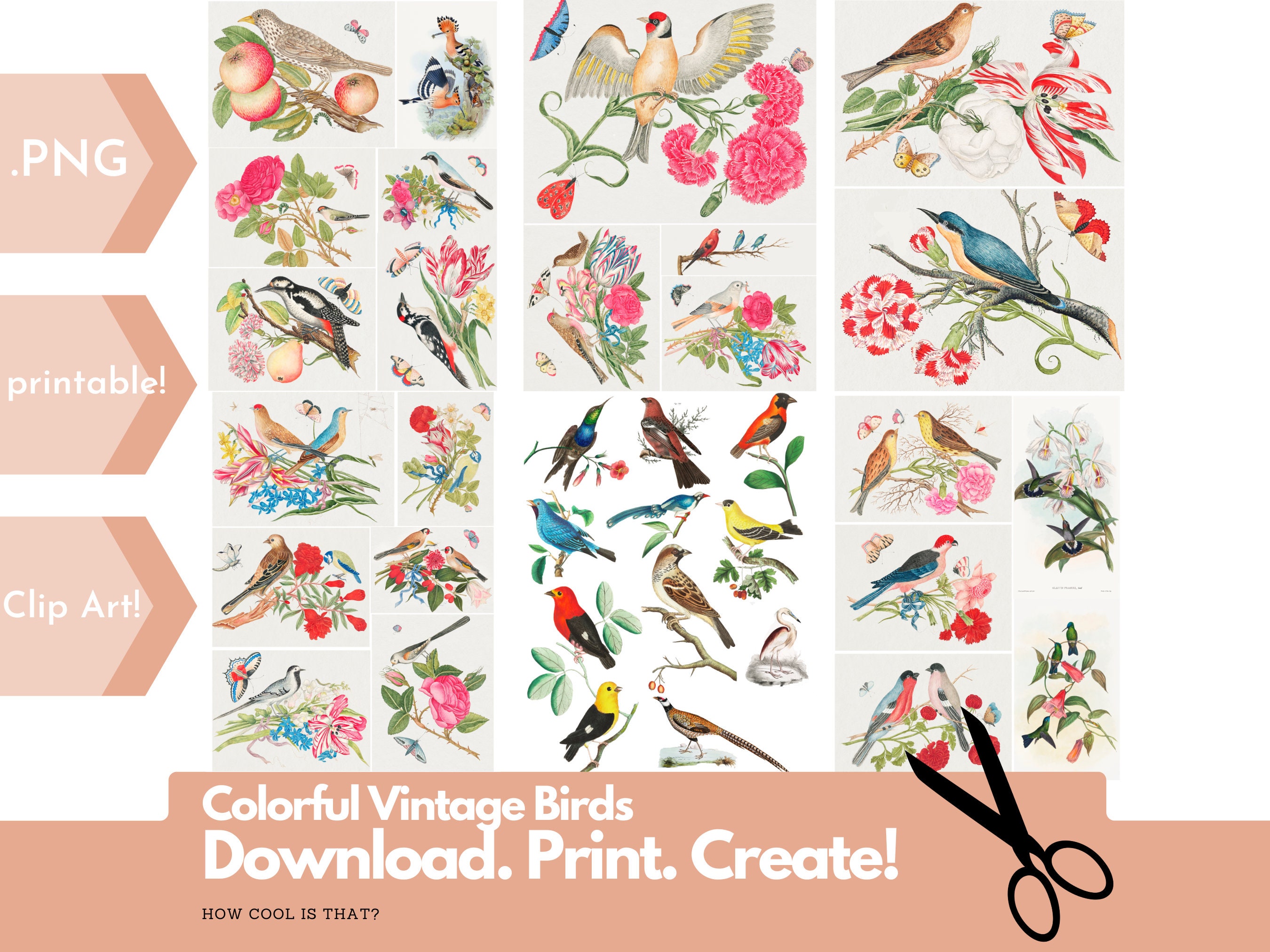 Bird Junk Journal Vintage Bird Ephemera. Printable Bird - Etsy