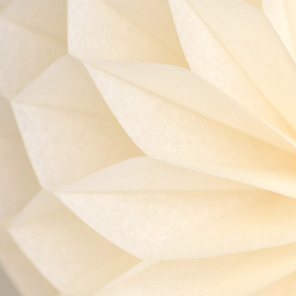 Cream Tissue Paper Honeycomb Ball Hanging Wedding Party - Etsy