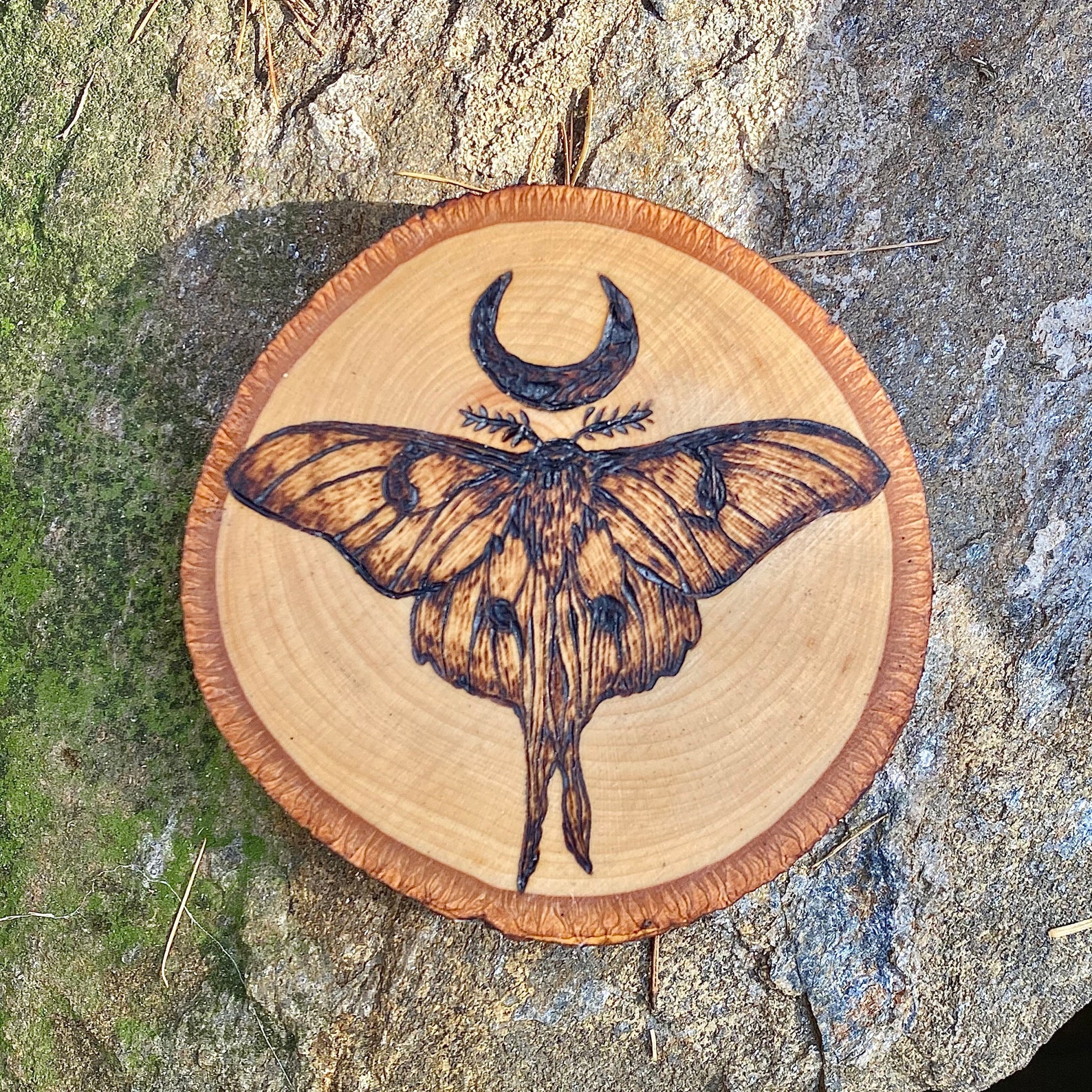 Luna Moth Wood Burning - Etsy
