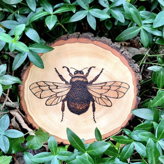 Bee Woodburning Nature Decor | Etsy
