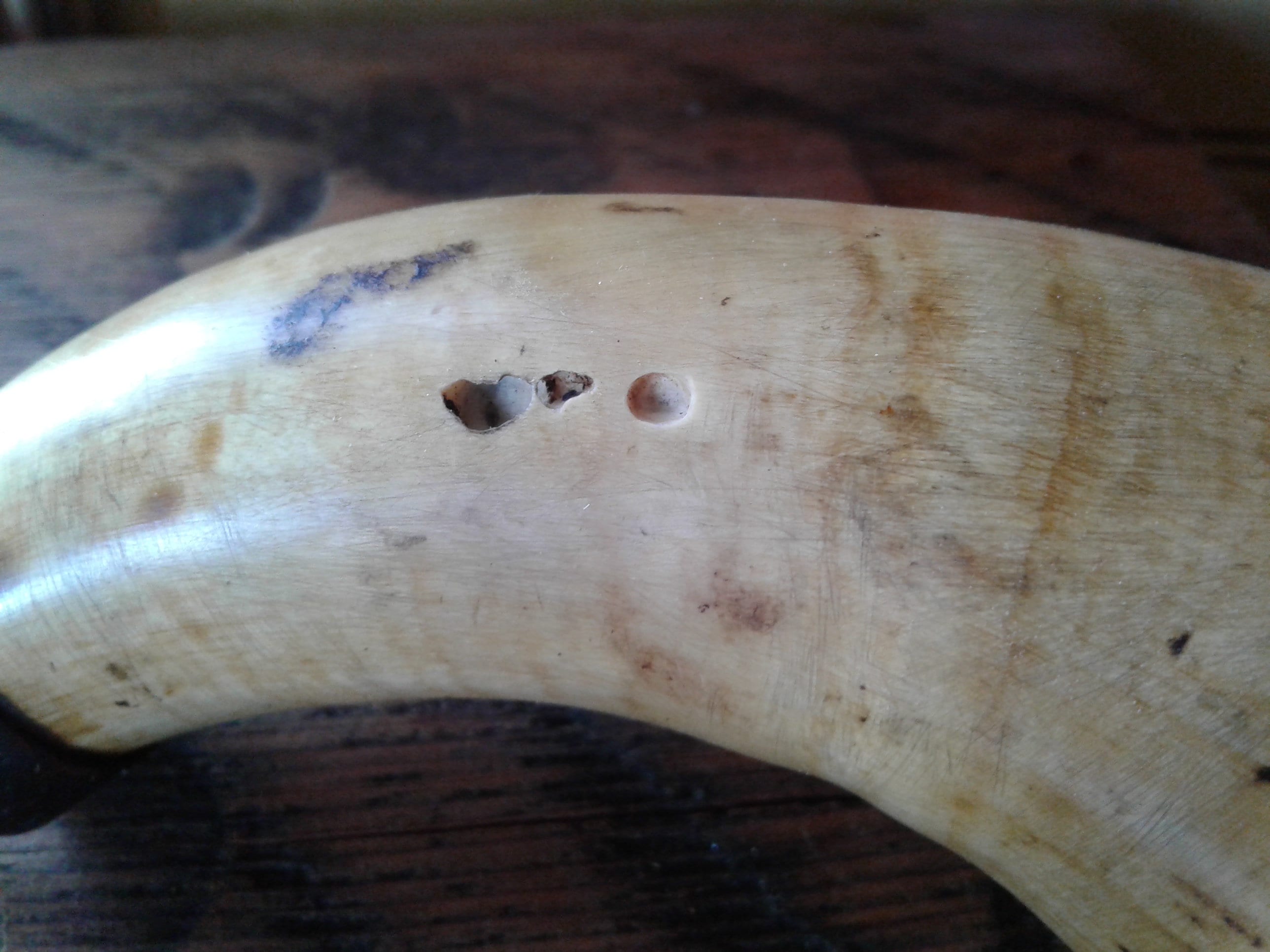 Antique Toy Mini Black Powder Horn 18th or 19th Century Vintage Hunting ...