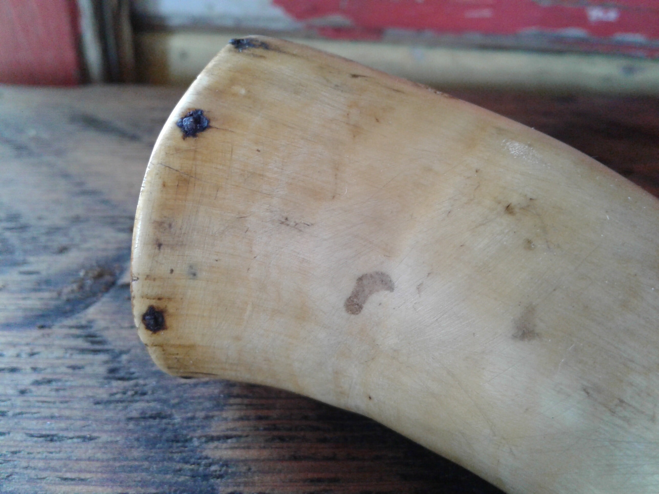 Antique Toy Mini Black Powder Horn 18th or 19th Century Vintage Hunting ...