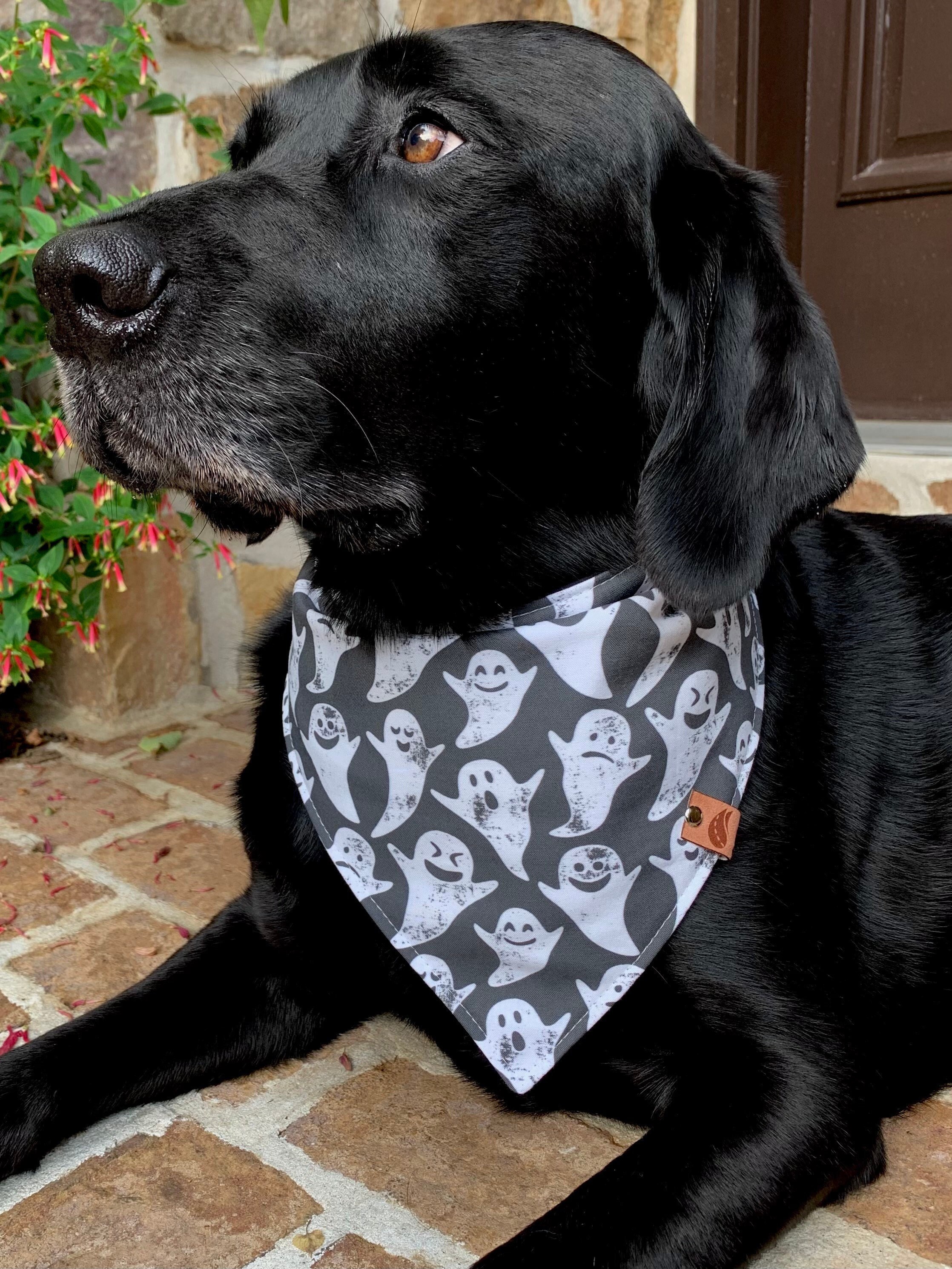 Halloween Dog Bandana Halloween Scarf Halloween Dog Gift | Etsy