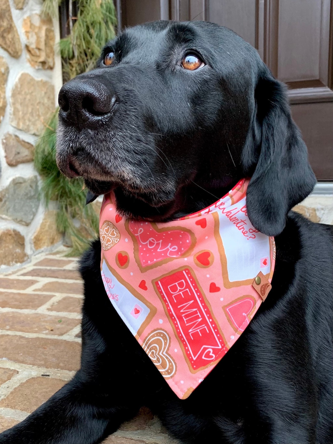Valentine Dog Bandana: Heart Print Cotton Scarf - Etsy