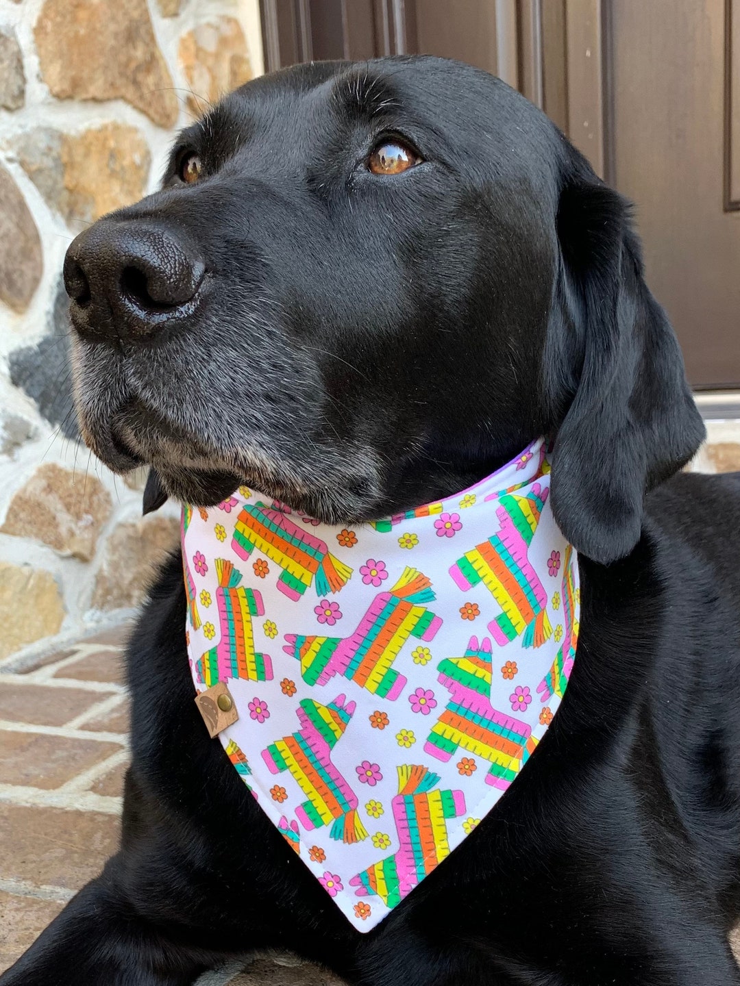 Cinco De Mayo Dog Bandana Pinata Dog Bandana Piñata Dog Scarf Cinco De ...