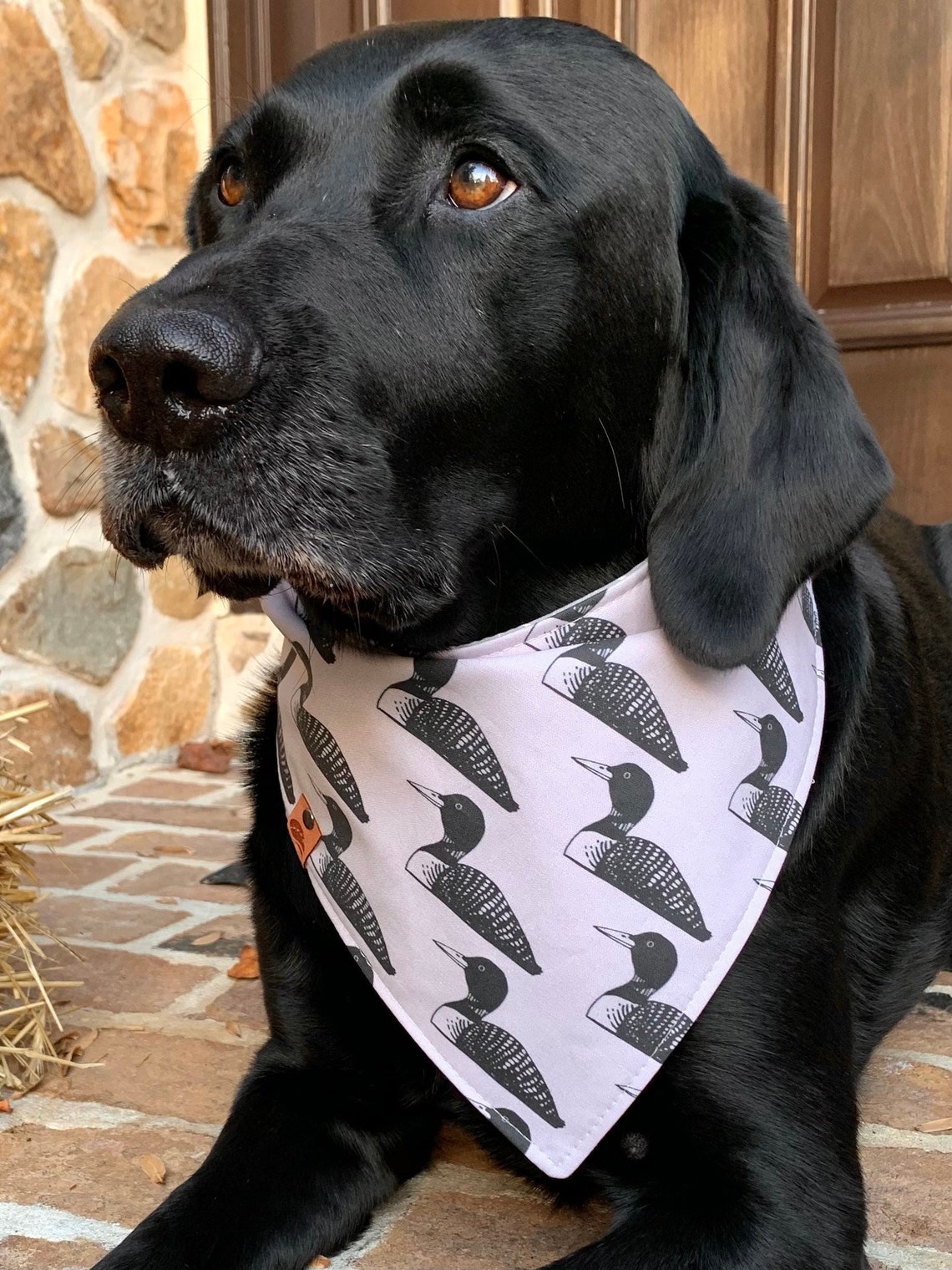 Dog Bandana Duck Bandana Personalized Dog Gift Monogrammed Dog - Etsy