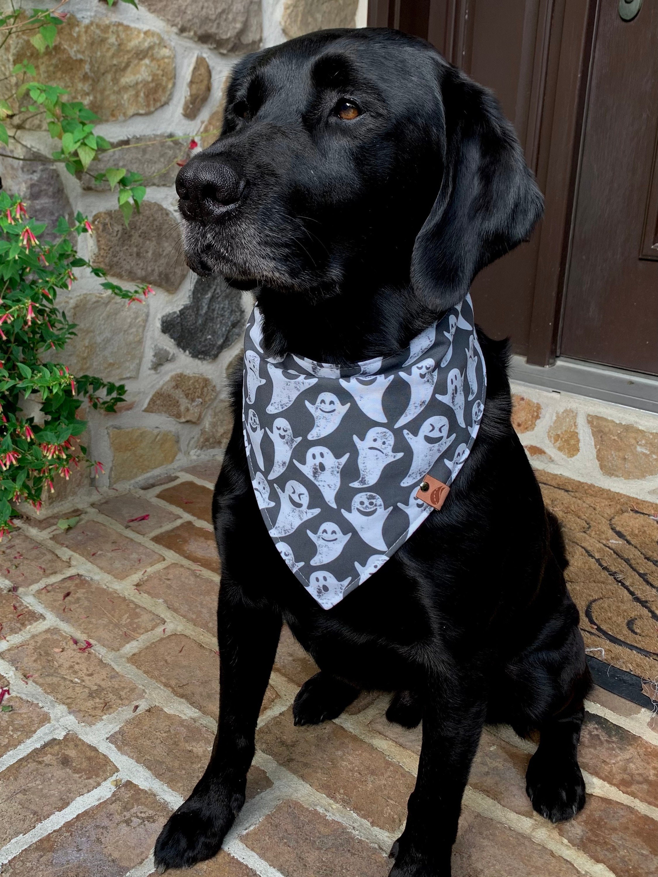 Halloween Dog Bandana Halloween Scarf Halloween Dog Gift | Etsy