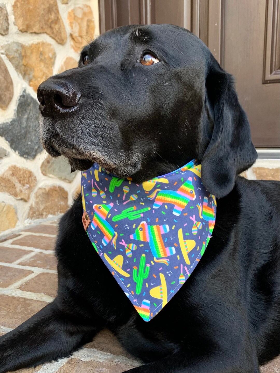Cinco De Mayo Dog Bandana Taco Dog Bandana Piñata Dog Scarf Cinco De ...