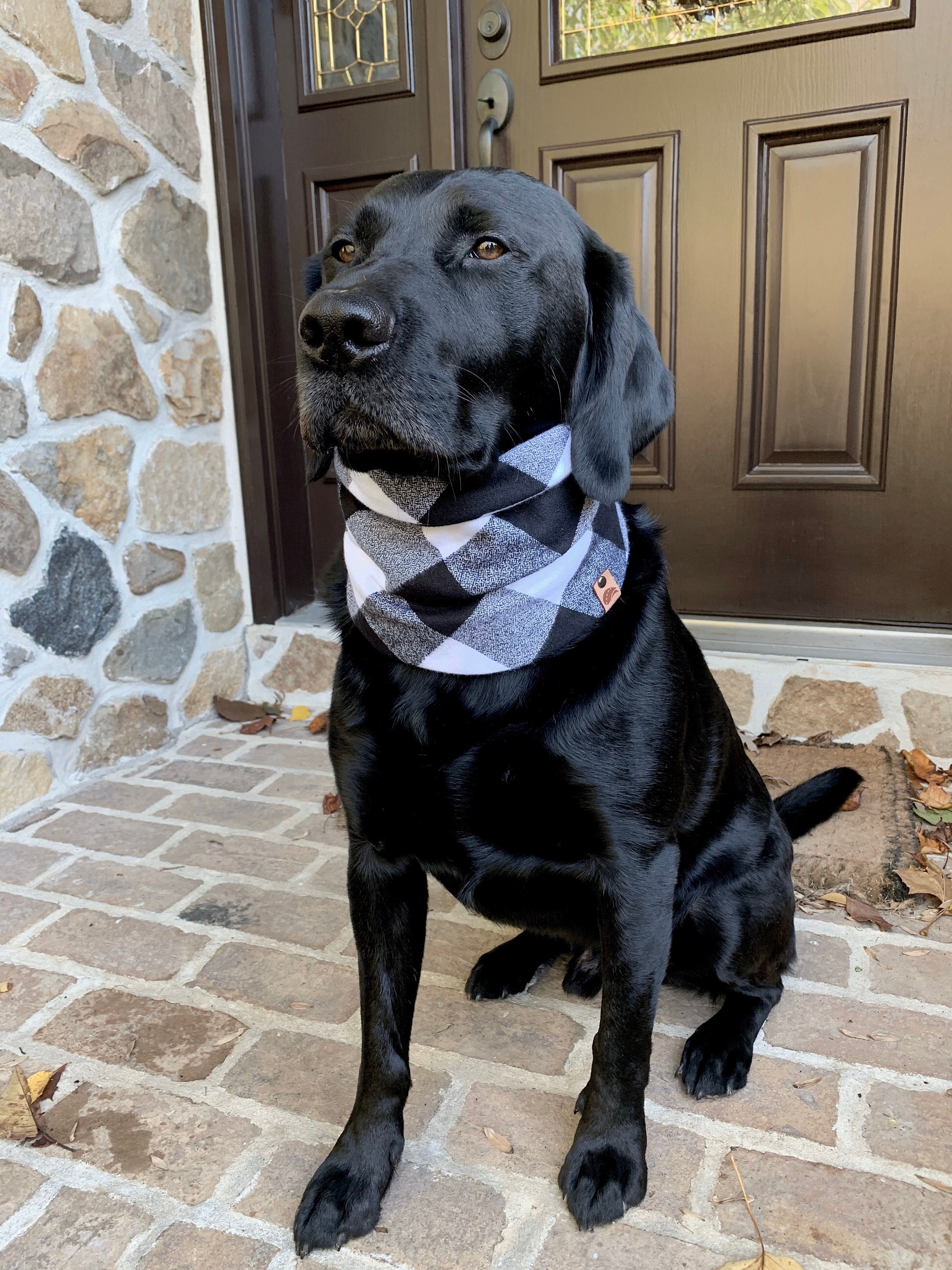 Dog Scarf Dog Scarves Fall Dog Bandana Buffalo Plaid Scarf - Etsy