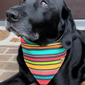 Cinco De Mayo Dog Bandana Pinata Dog Bandana Piñata Dog Scarf Cinco De ...