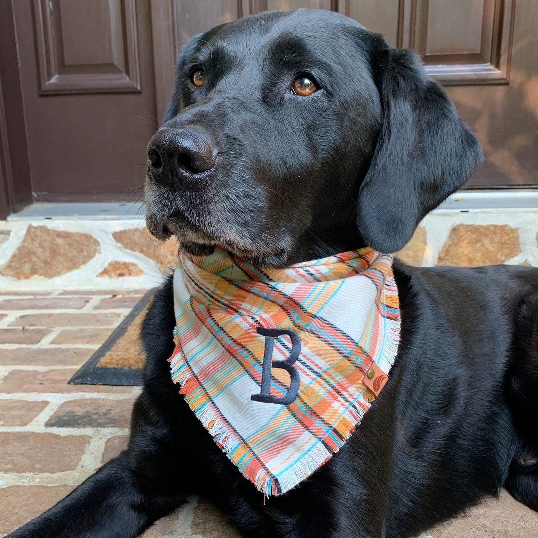 Flannel Dog Bandana Dog Gift Fall Scarf Dog Thanksgiving Dog Bandana ...