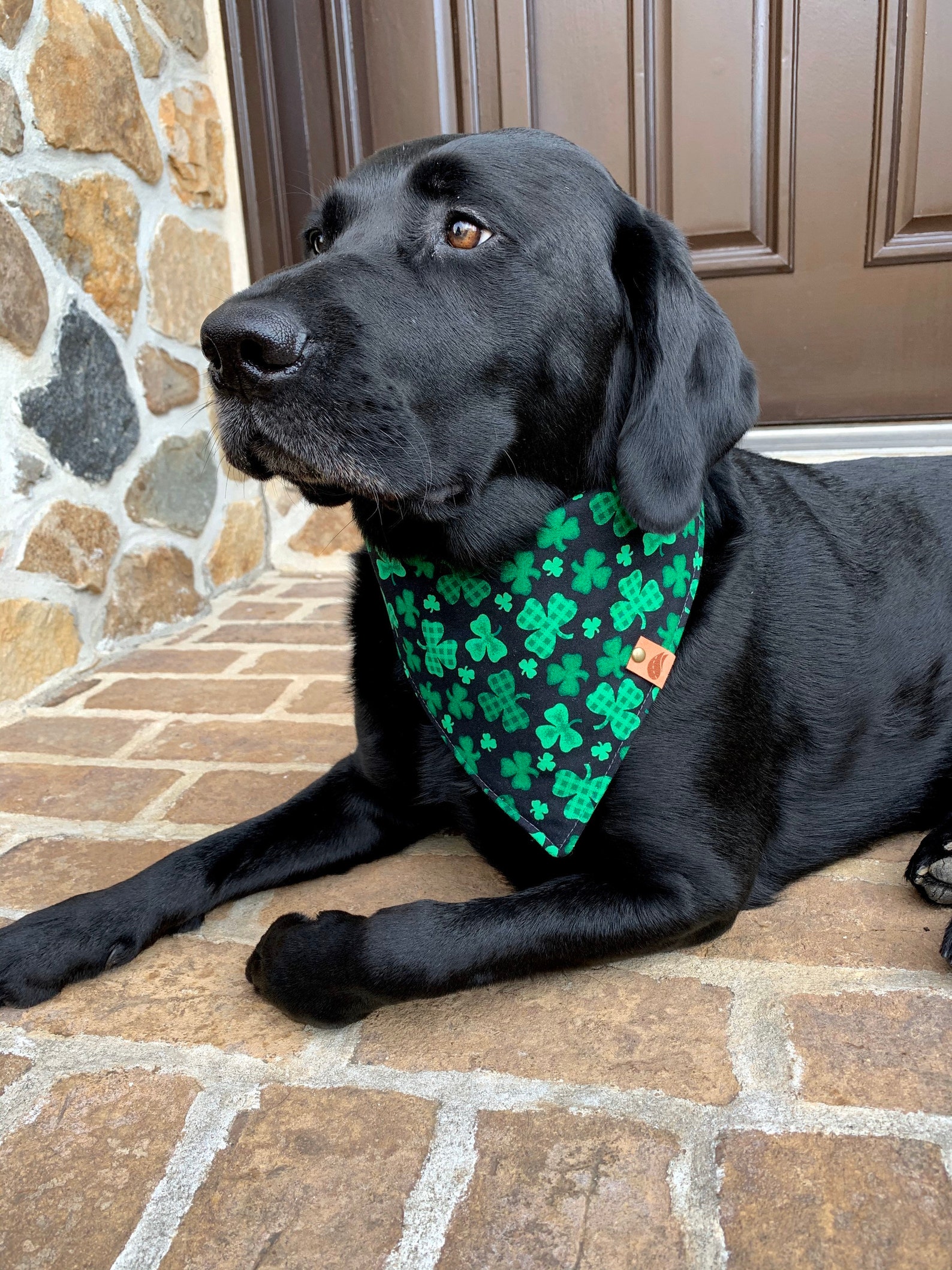 St Patricks Day Dog Bandana Clover Dog Bandana Green Dog - Etsy