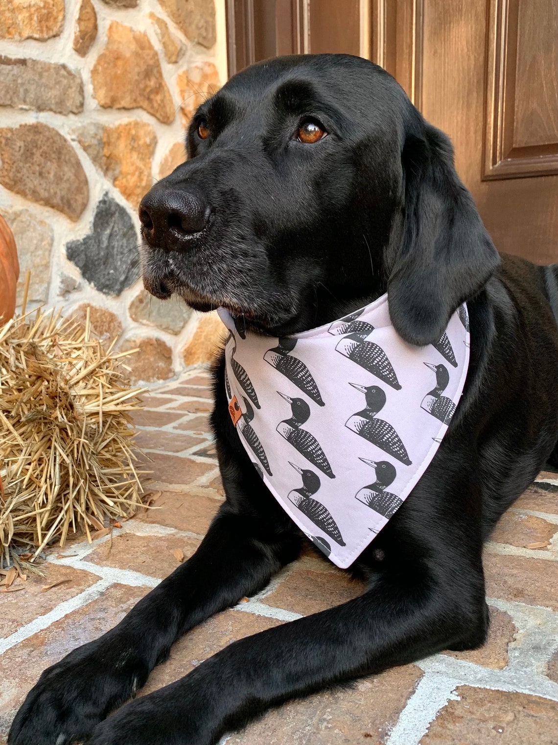 Dog Bandana Duck Bandana Personalized Dog Gift Monogrammed Dog - Etsy