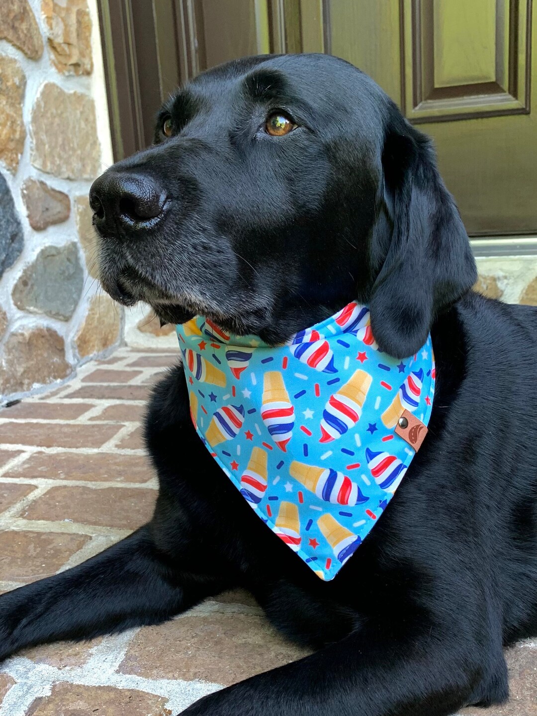 Patriotic Dog Bandana Fourth of July Dog Memorial Day Dog Bandana ...