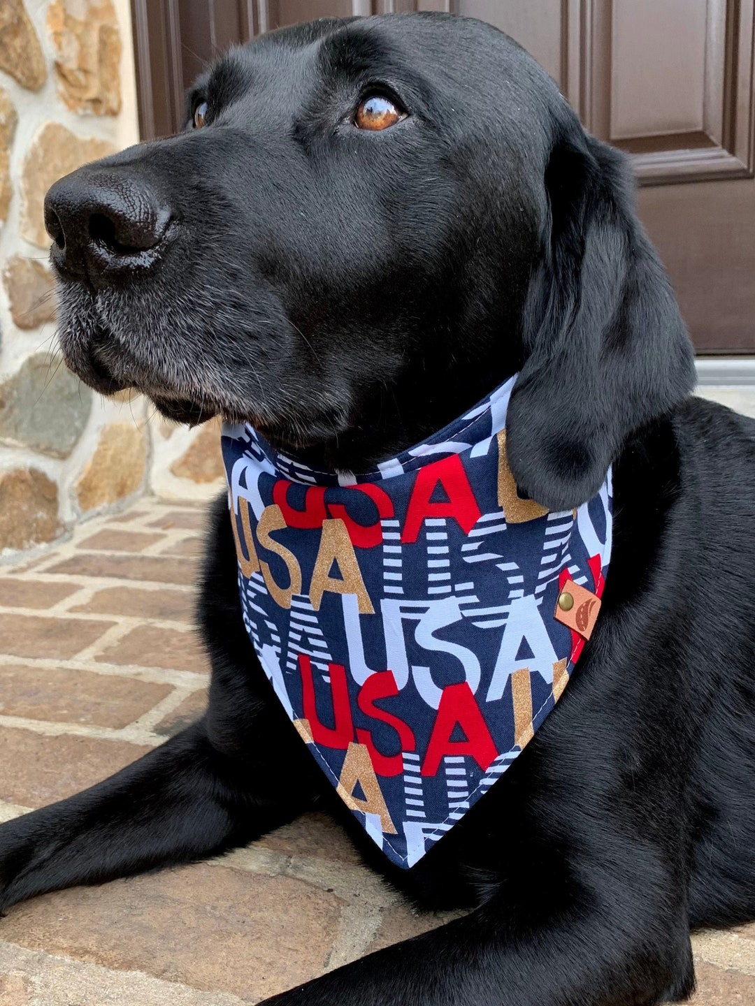 Patriotic Dog Bandana Fourth of July Dog Memorial Day Dog Bandana ...