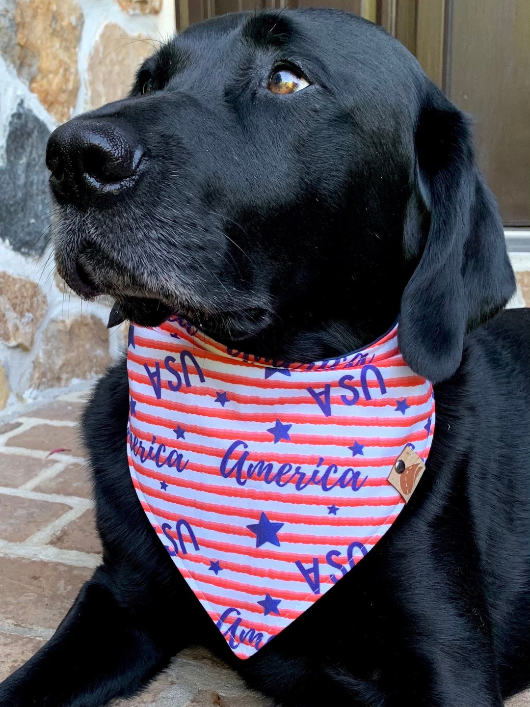 USA Dog Bandana America Dog Bandana Memorial Day Bandana Fourth of July ...