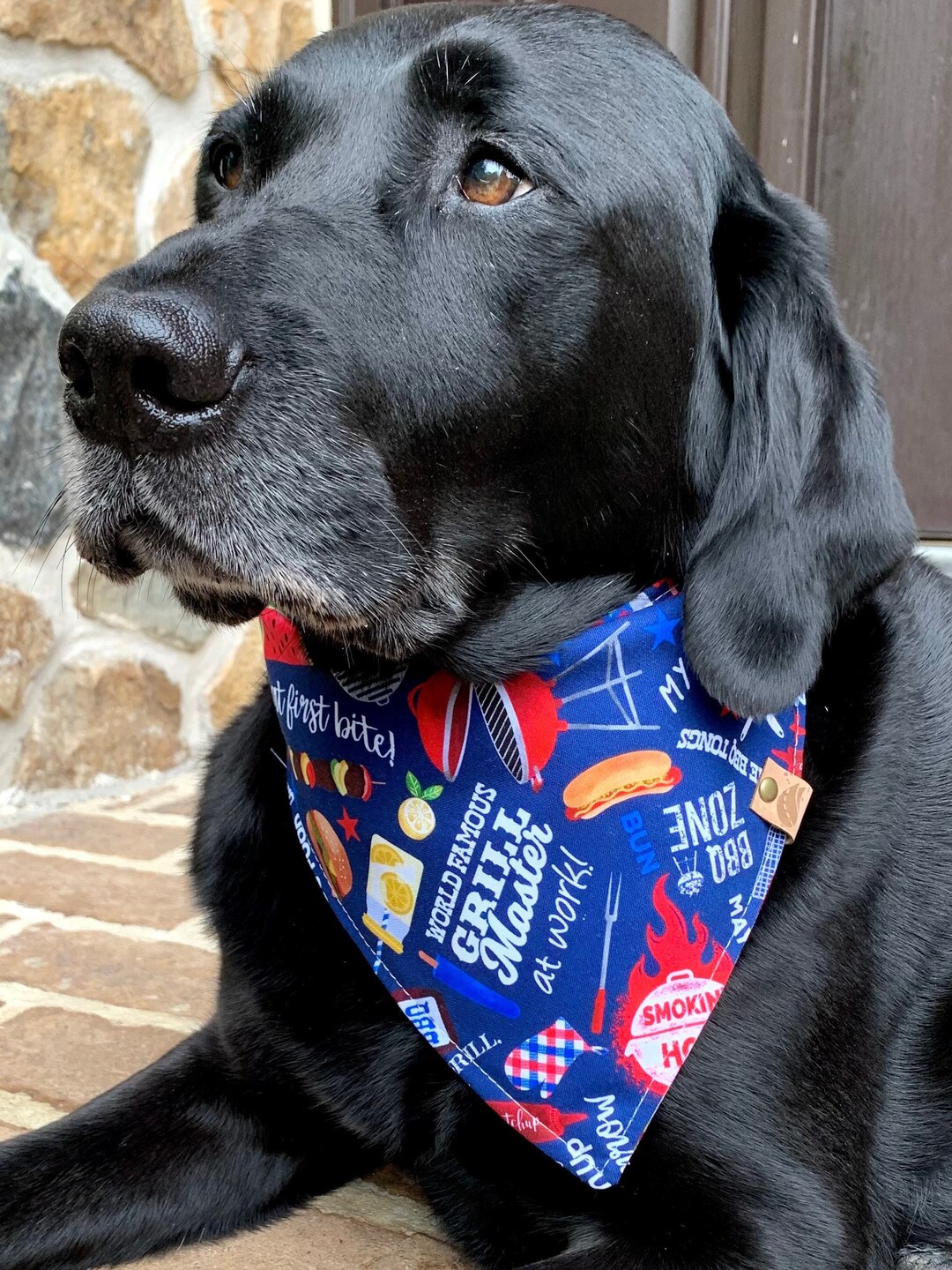 Dog Bandana Hot Dog Bandana Barbecue Dog Grill Master Gift Memorial Day ...