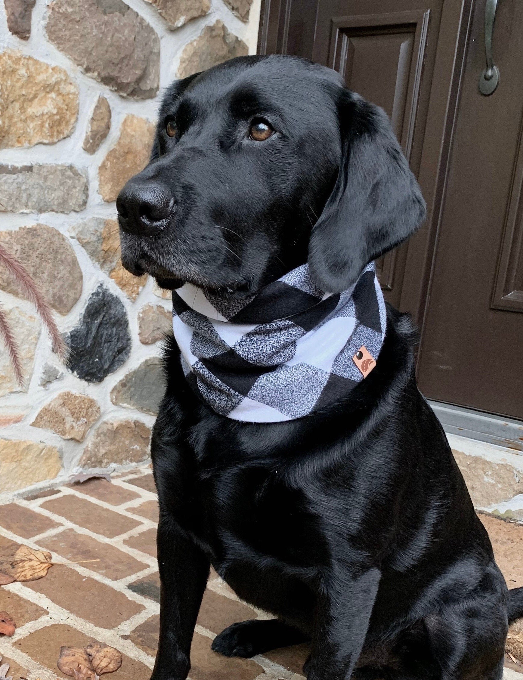 Dog Scarf Dog Scarves Fall Dog Bandana Buffalo Plaid Scarf - Etsy