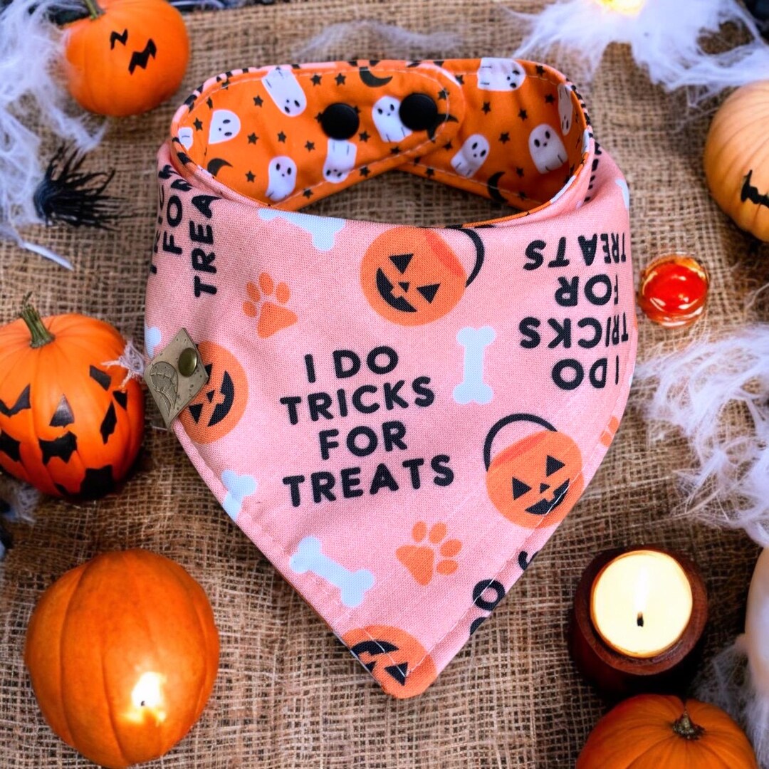 Halloween Dog Bandana Pink Halloween Scarf Halloween Dog Gift ...